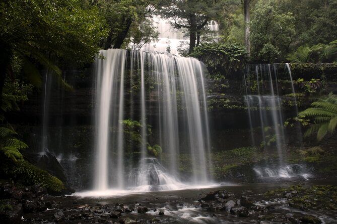 Full-Day Waterfalls, Wilderness & Wildlife Hobart Tour - Practicalities and What to Expect