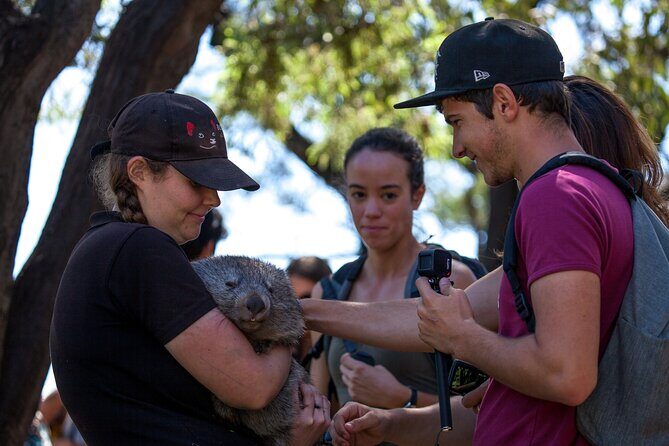 Full-Day Waterfalls, Wilderness & Wildlife Hobart Tour - FAQ