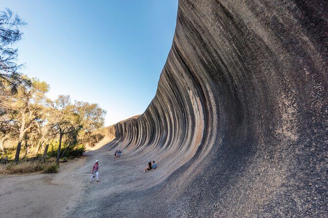 Full-Day Wave Rock & Historic York - What the Reviews Say