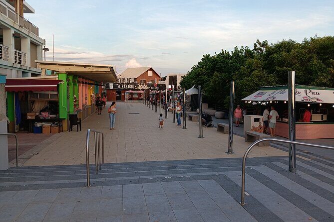 Full Day West Coast Adventure in Puerto Rico - Who Should Consider This Tour?