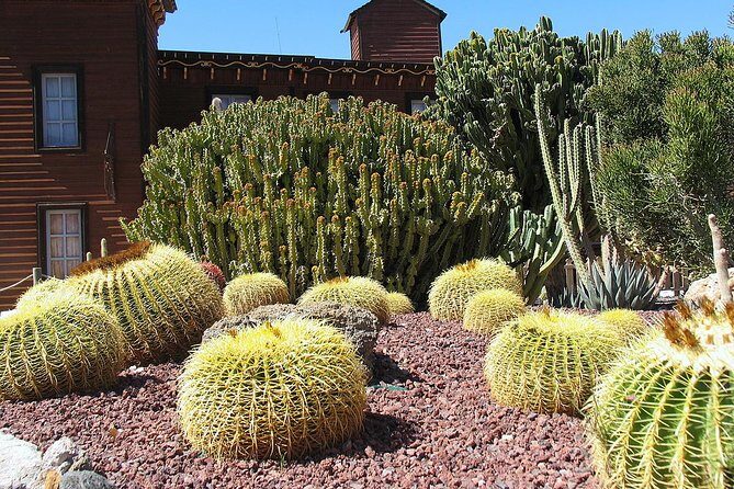 Full-Day Western Theme Park Tour of Mini Hollywood - Oasys - Final Thoughts: Is This Tour for You?