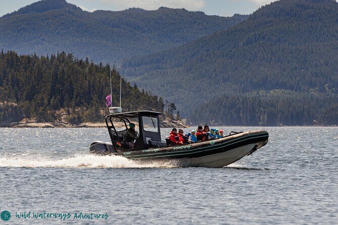 Full Day Whale Watching Campbell River - An Overview of the Full Day Whale Watching Experience