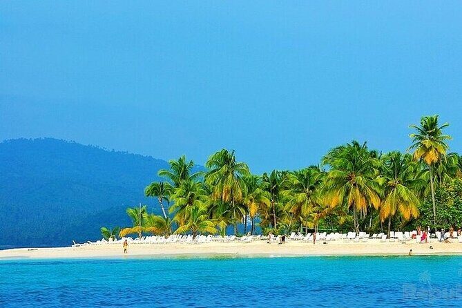 Full-day Whale watching Tour in Samana Bay from Punta Cana - Understanding the Practicalities: What to Expect