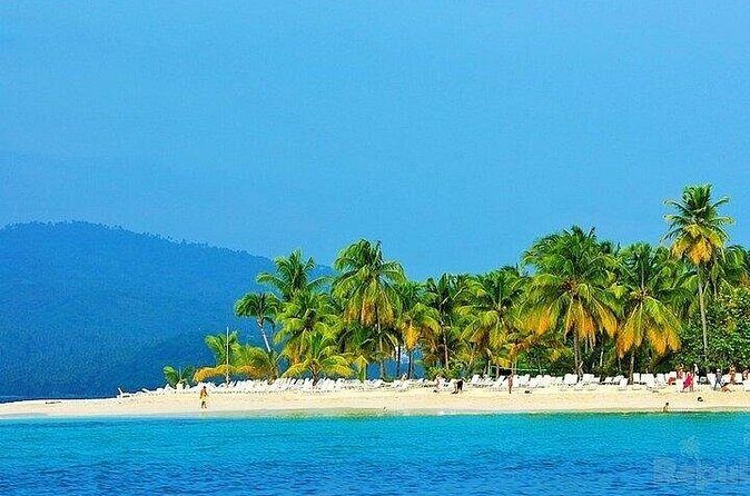 Full-day Whale watching Tour in Samana Bay from Punta Cana - Analyzing the Value: Is It Worth It?