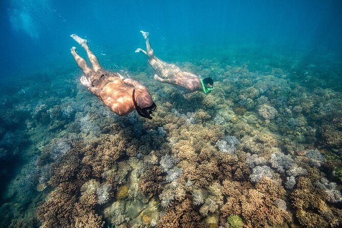 Full-Day Whitsunday Sail and Snorkel Adventure with Lunch - Who Is This Tour Best Suited For?