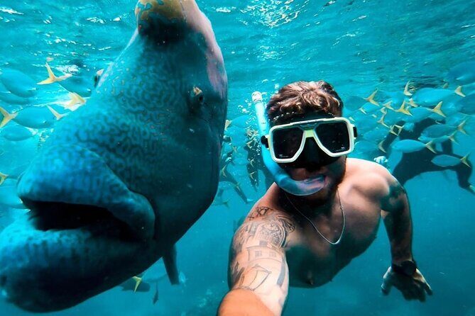 Full-Day Whitsunday Sail and Snorkel Adventure with Lunch - The Sum Up: The Bottom Line for Potential Travelers