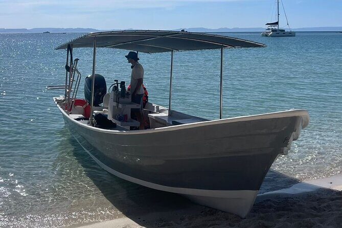 Full Day Wildlife Expedition in the Sea of Cortez - How the Day Unfolds