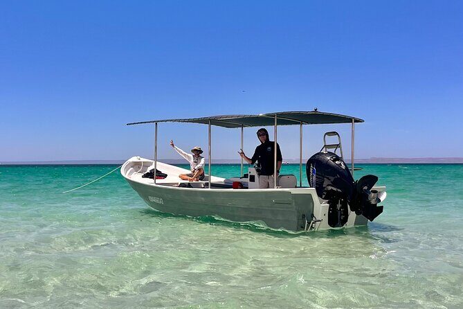 Full Day Wildlife Expedition in the Sea of Cortez - Practical Tips for Participants