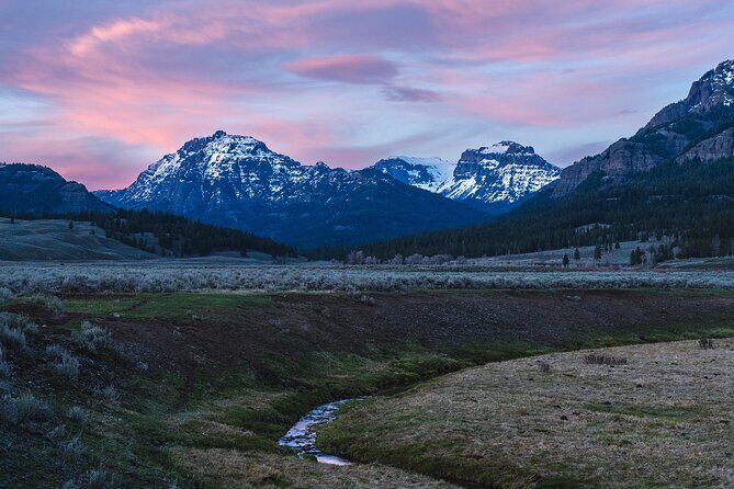 Full Day Wildlife Photography Tour In Yellowstone National Park - Comprehensive Review of the Full Day Wildlife Photography Tour in Yellowstone National Park