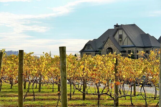 Full-Day Wine Country Wine Tastings From Atlanta - What’s Included and What’s Not