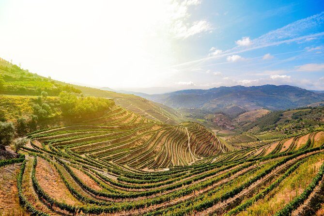 Full Day, Wine Tasting, River Cruise and Lunch from Porto - Key Points