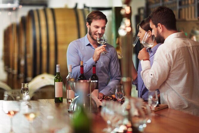 Full-Day Wine Tasting Tour in Athens with Visit to Cape Sounio - Transportation and Group Experience
