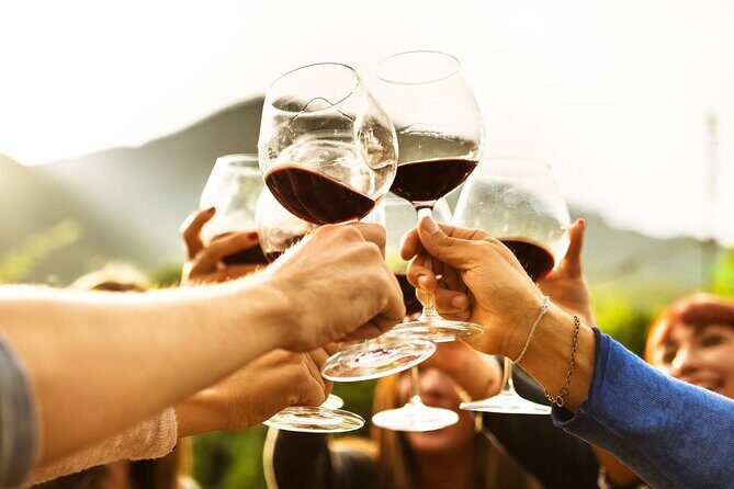 Full-Day Wine Tasting Tour in Auckland with 3-Course Vineyard Lunch - Learning and Enjoying: What Sets this Tour Apart