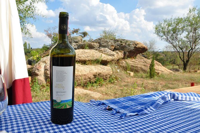 Full-Day Wine Tour from Istanbul - Second Stop: Vino Dessera Winery