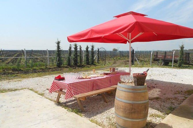 Full-Day Wine Tour from Istanbul - Return to Istanbul