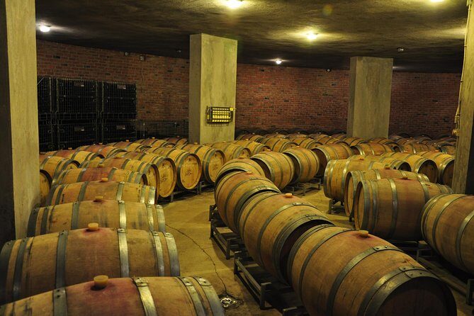 Full-Day Wine Tour from Istanbul - Practical Details