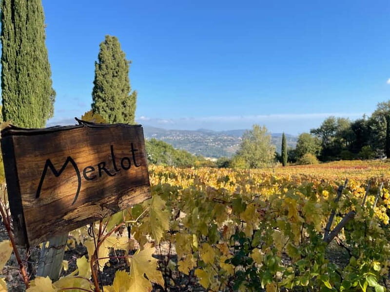 Full-Day Wine Tour in Bellet & Saint-Paul de Vence From Nice - A Closer Look at the Tour Experience