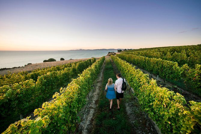 Full Day Winemakers Tour in Marlborough - The Experience Breakdown: What You’ll Actually Do