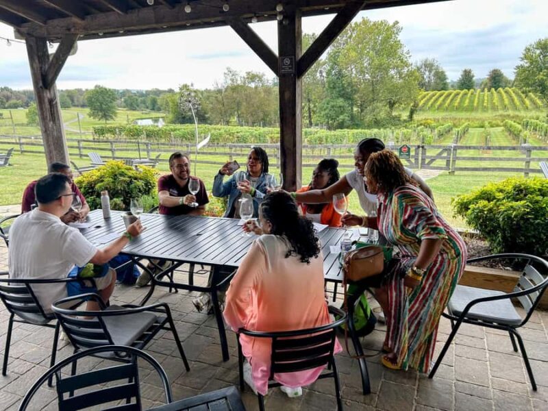 Full Day Winery Tour from Metro DC & Leesburg - 3 Wineries - Key Points