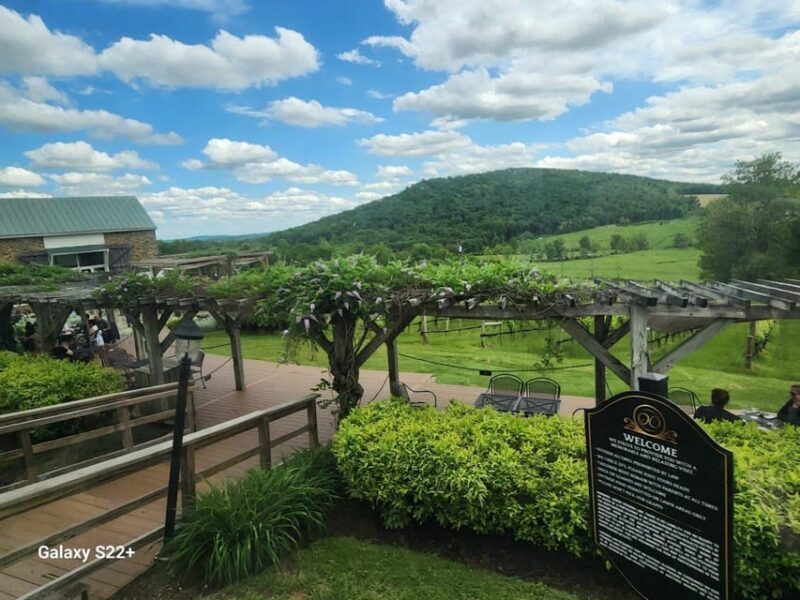 Full Day Winery Tour from Metro DC & Leesburg - 3 Wineries - Why This Tour Offers So Much Value
