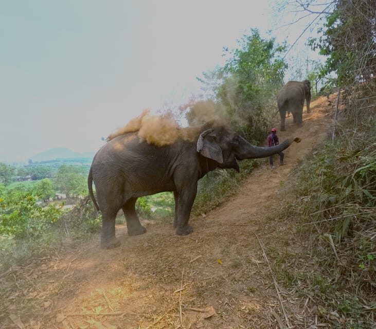 Full-day with CHIANGMAI ELEPHANT CARE and Sticky waterfall - The Day-in-Detail