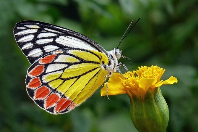 Full Day Wonders of Bali Group Tour with Pickup and Lunch - Exploring Bali’s Northern Wonders