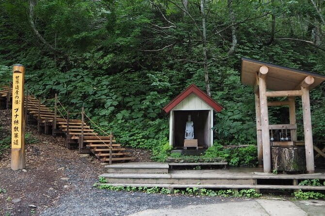 Full Day World Heritage Shirakami Mountains Hiking Tour - A Closer Look: What’s Included and What’s Not