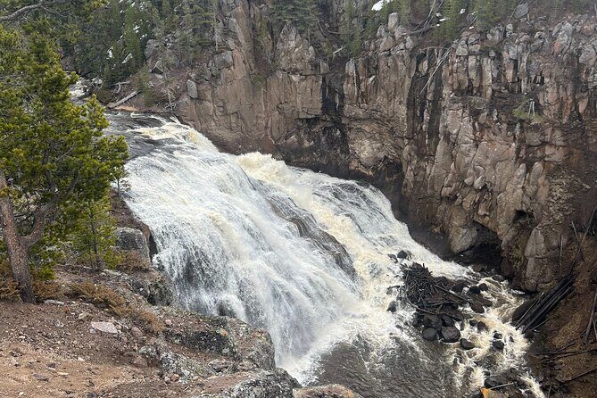 Full Day Yellowstone Lower Loop and Safari from Jackson Hole - Is It Worth the Price?