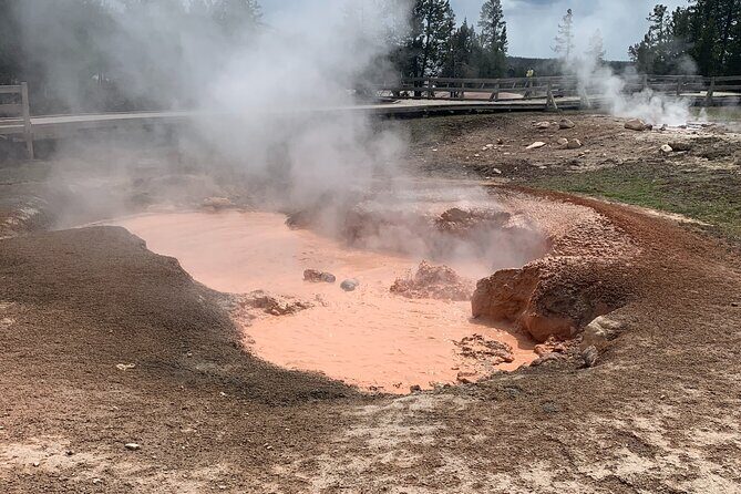 Full Day Yellowstone Lower Loop and Safari from Jackson Hole - The Sum Up