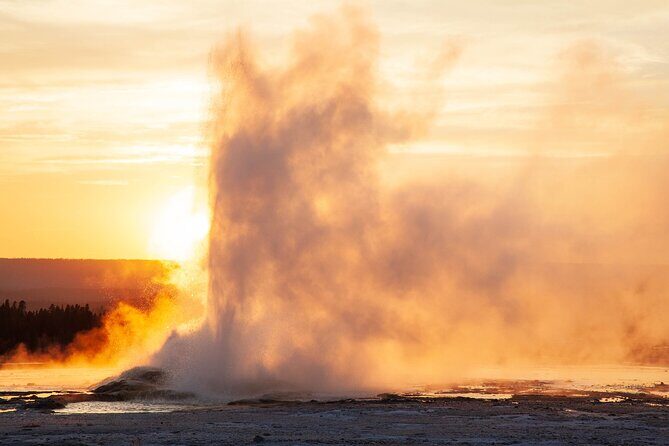 Full Day Yellowstone Nat'l Park Tour from Big Sky - Private Tour - An In-Depth Look at the Yellowstone Private Safari