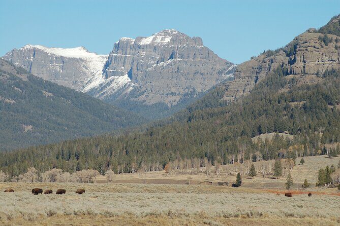 Full-Day Yellowstone Upper (Northern) Loop Tour - Who Is This Tour Best For?
