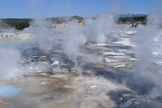 Full-Day Yellowstone Upper (Northern) Loop Tour - FAQs: Your Yellowstone Tour Questions Answered