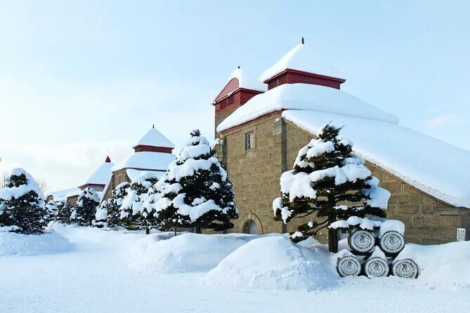 Full Day Yoichi & Otaru Walking Tour - An In-Depth Look at the Tour Experience