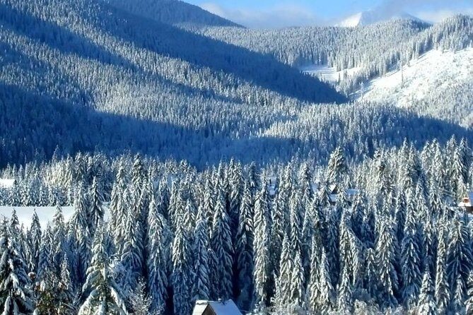 Full day Zakopane tour from Krakow - A Detailed Look at the Zakopane Tour