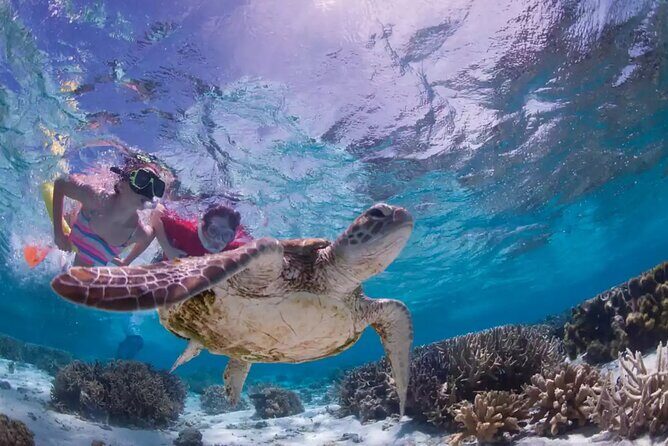 Full-dayTurtle Adventure: ATV, Zipline, Cenote & Turtle Swim - FAQ