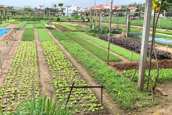 Full Experience Tour: Cooking Class & Basket Boat at Eco-Village - An In-Depth Look at the Experience