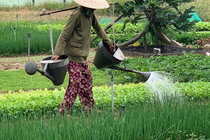 Full Experience Tour: Cooking Class & Basket Boat at Eco-Village - Transportation, Timing, and Value