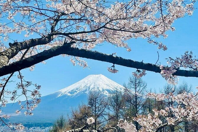 Full Guided Mt. Fuji & Hakone Attractive Private Day Tour - An In-Depth Look at the Tour Experience