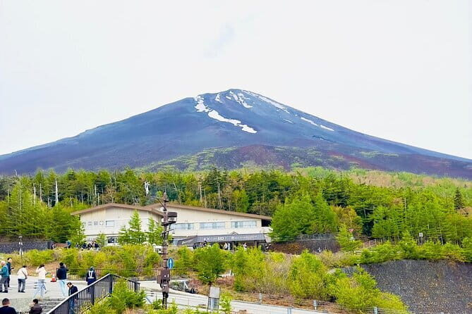Full Guided Mt. Fuji & Hakone Attractive Private Day Tour - Final Thoughts