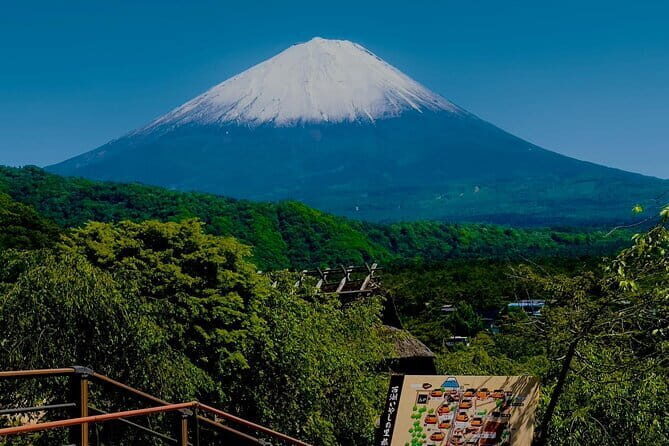 Full Guided Mt. Fuji & Shiba-Sakura Festival One Day Pvt.Tour - Exploring the Full Guided Mt. Fuji & Shiba-Sakura Festival One Day Private Tour