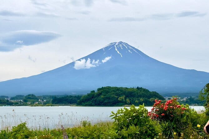 Full Guided Mt. Fuji & Shiba-Sakura Festival One Day Pvt.Tour - Key Points