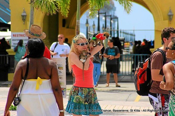 Full Island Panoramic Tour of St Kitts - What to Expect During the Full Island Tour of St Kitts