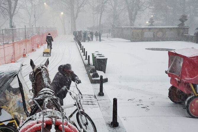 Full loop Private Horse Carriage Ride in Central Park 45 Minutes - What Reviewers Say