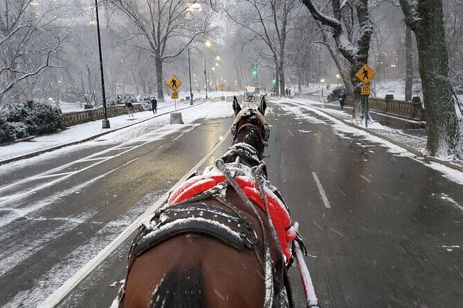 Full loop Private Horse Carriage Ride in Central Park 45 Minutes - Practical Tips for Your Ride