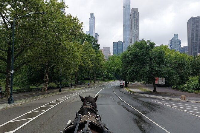 Full loop Private Horse Carriage Ride in Central Park 45 Minutes - The Sum Up: Is It Worth It?