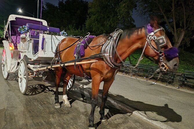 Full loop Private Horse Carriage Ride in Central Park 45 Minutes - FAQ