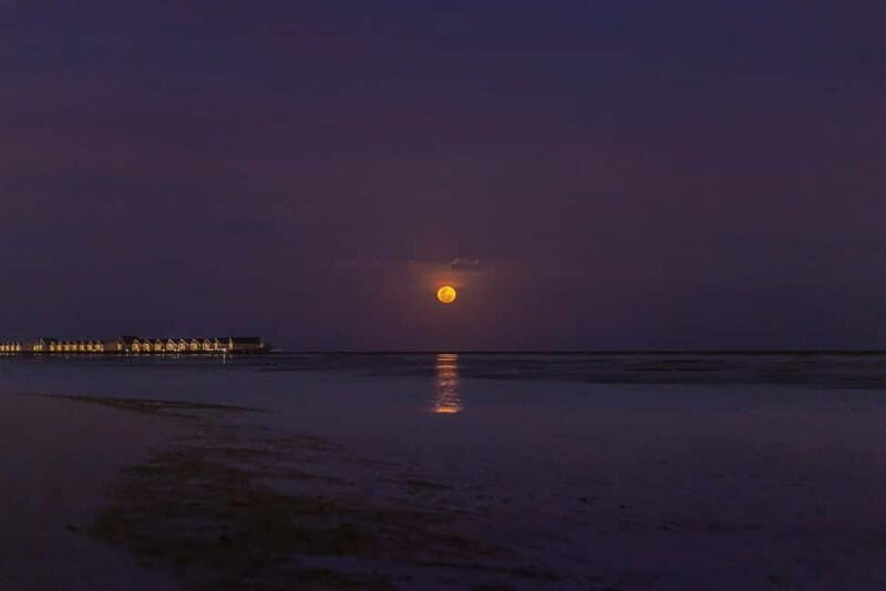 Full Moon Magic  2h Night Sailing in Sotogrande - Why Choose a Full Moon Night Sail?