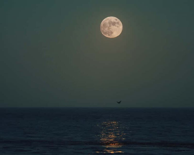 Full Moon Magic  2h Night Sailing in Sotogrande - Practical Considerations
