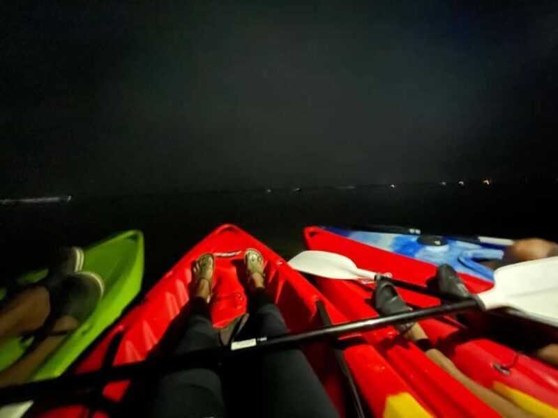 Full Moon Night Kayaking to Pathiramanal Island - An Authentic Night on the Water: What to Expect