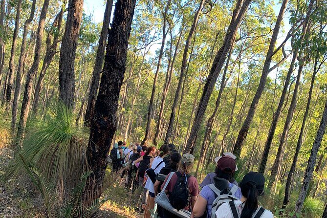Full Moon Yoga Hiking Experience Mundaring - What You Can Expect from the Full Moon Yoga Hiking Experience